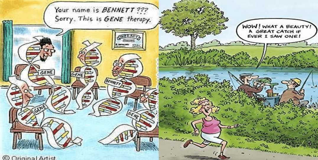 20 Fresh Comics That Combine Comedy and Daily Life