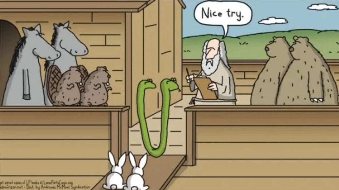 20 Comics Filled with Laughter for a Better Day