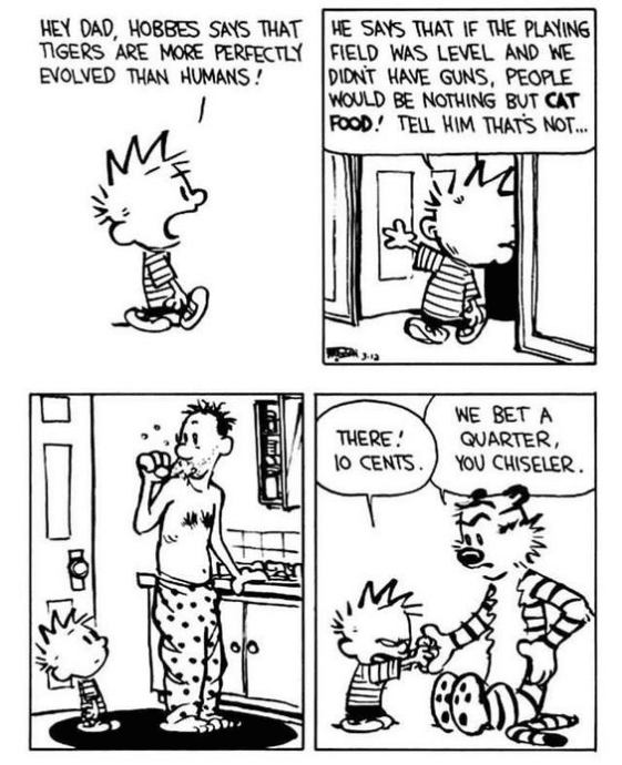 Your Favorite Calvin and Hobbes Comic Strips by Bill Watterson