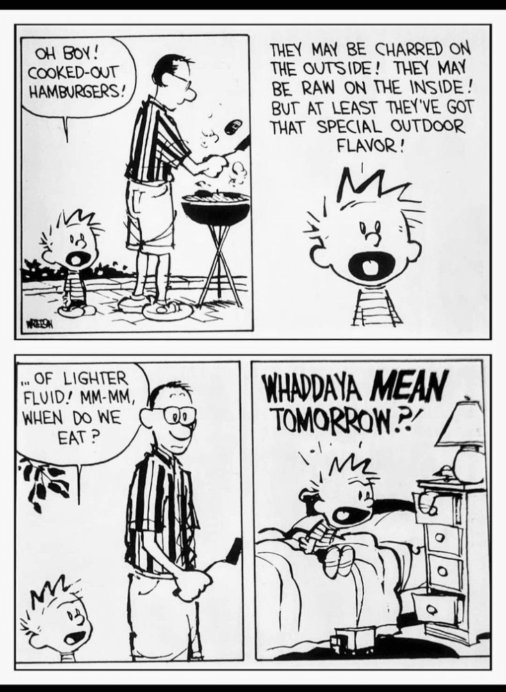 These 19 Calvin and Hobbes to Make your Day Happy and Interesting