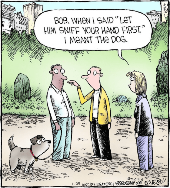 20 Hilarious Single-Panel Cartoons By Speed Bump Can Make You Laugh