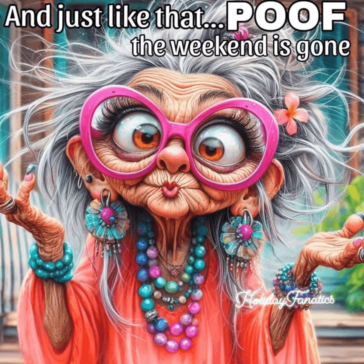 20 Funny Pictures Perfectly Summarizes The Life Of An Old Lady