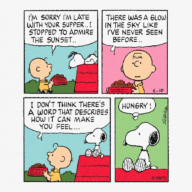 20 Snoopy Cartoons about the Dog That will Surely Make You Laugh
