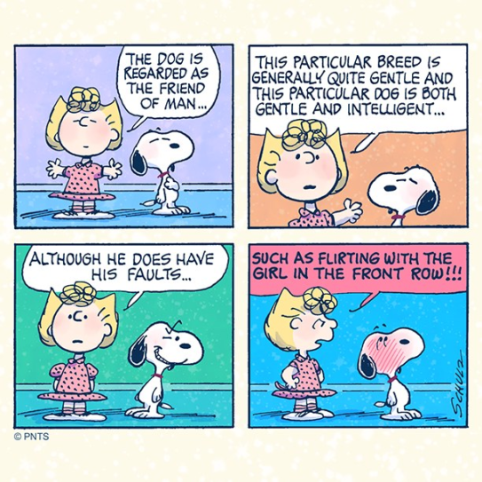 Here are 20 Snoopy Cartoons About The Dog Who is Very Funny