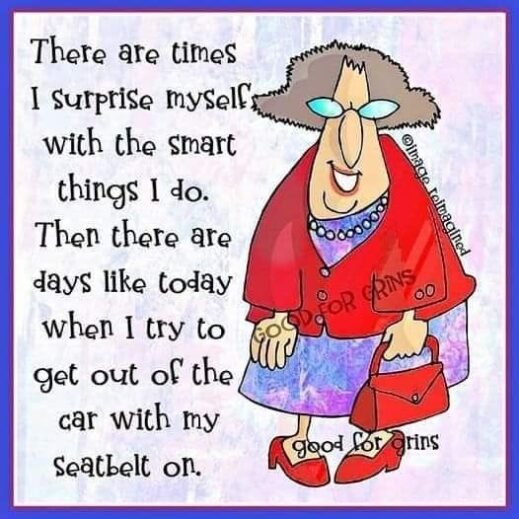 20 Amusing Old lady Cartoons That Depicts Funs of Her Life