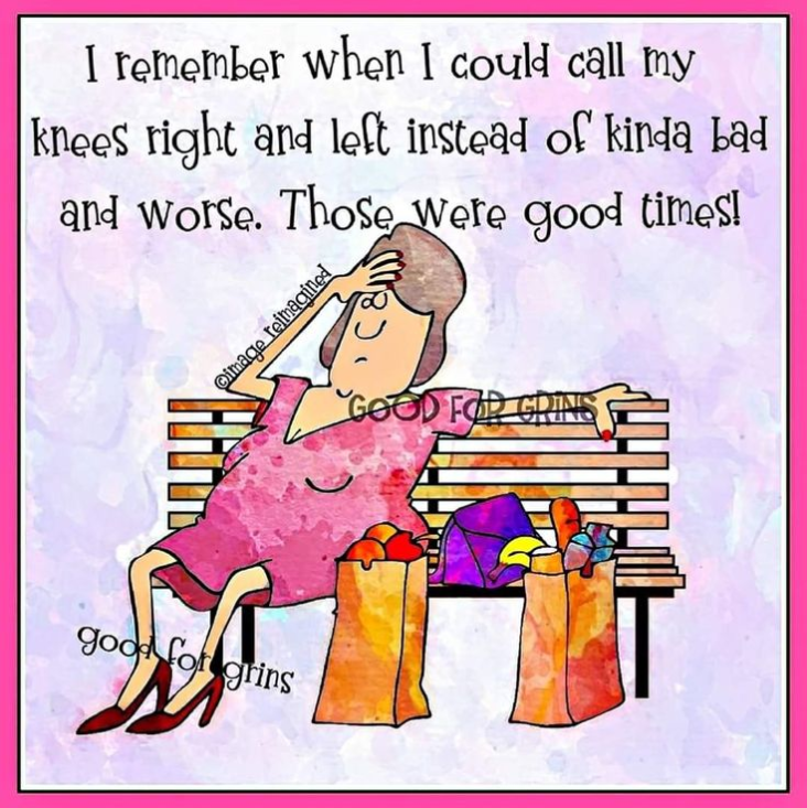 This Blog Shows 20 Best Cartoon Jokes That Old Ladies Can Easily Relate