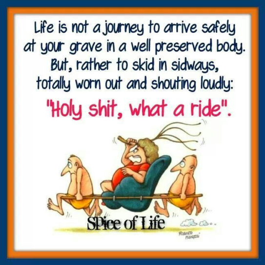 20 Amusing Old lady Cartoons That Depicts Funs of Her Life