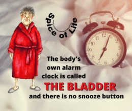 A Grandmother Presents The Happenings Of Old Age Life In 20 Best Cartoons
